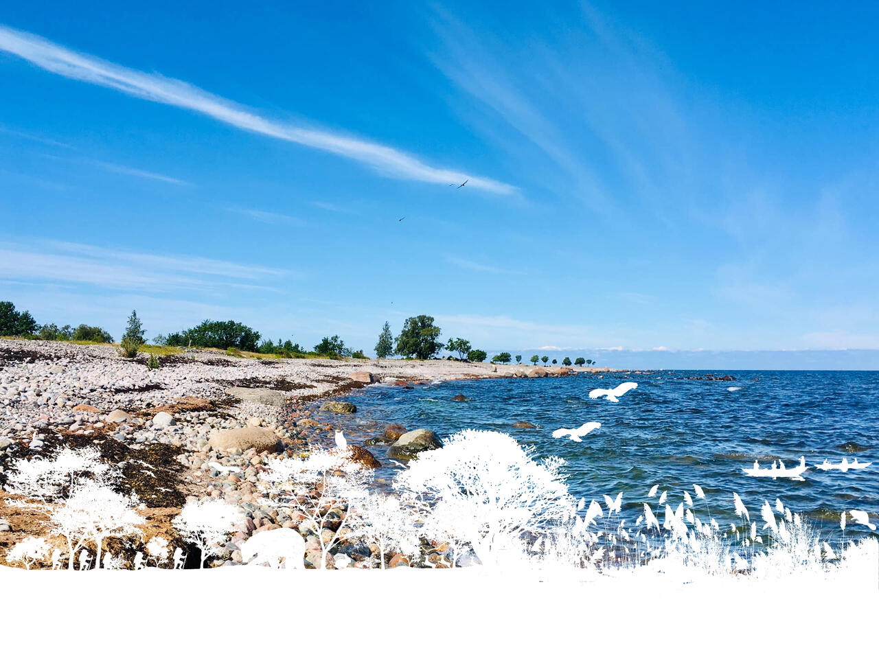Evente Adventures matkad – Aksi avastusretk