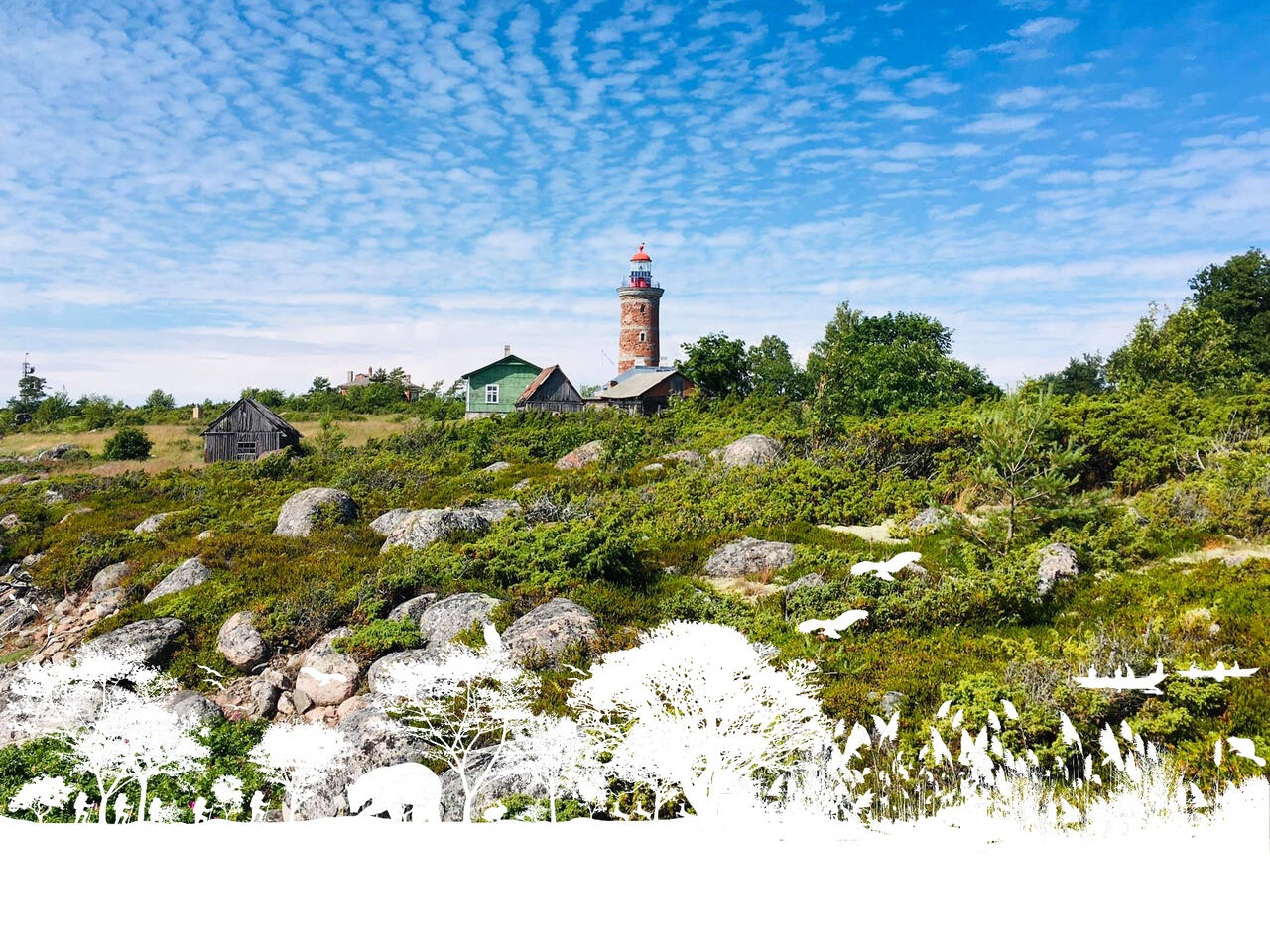 Evente Adventures matkad – Mohni avastusretk